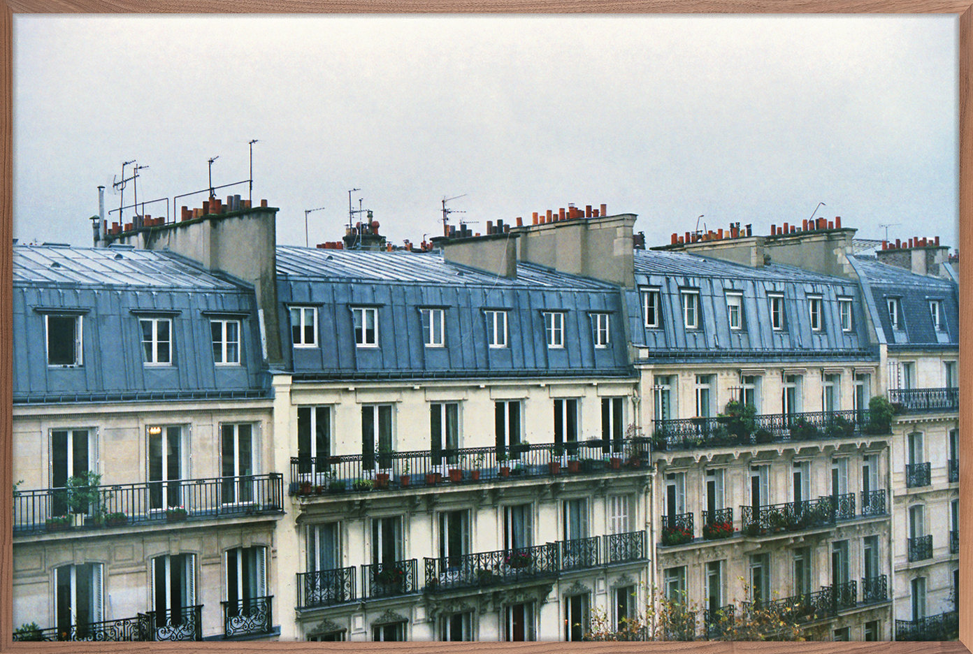 Zoe Bios Creative 'Paris Rooftops 1' by Bryce Laurino - Floater Frame Photograph | Wayfair